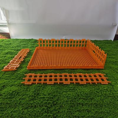 China Portable Lightweight Poultry Transport Cages Compatible With Various Poultry Types for sale