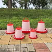 China Poultry Automatic Pet Feeder Thickened Plastic Material Durable Sturdy for sale