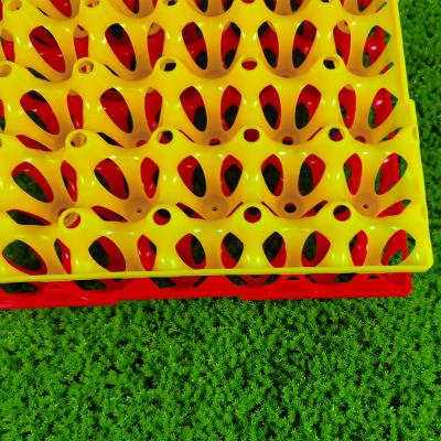 China High-Capacity Poultry Feed Bucket for Large-Scale Poultry Farms plastic egg trays farming technology for sale