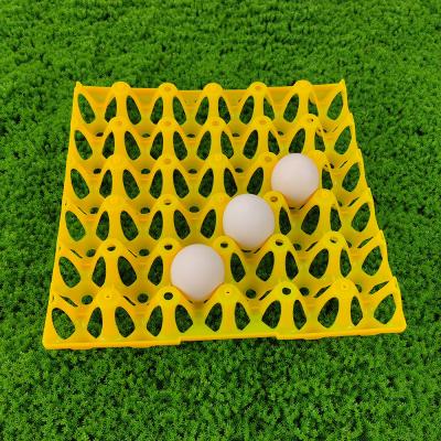 China High-Capacity Poultry Feed Bucket for Large-Scale Poultry Farms plastic egg trays farming technology for sale