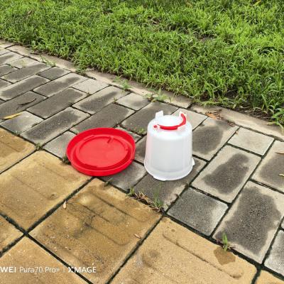 Cina Dispensatori di acqua per uccelli anti gocciolate convenienti per piccoli aviari in vendita