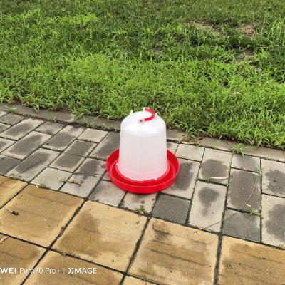 Cina Dispensatori di acqua per uccelli anti gocciolate convenienti per piccoli aviari in vendita