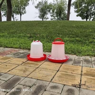 中国 鶏 ねこ ガチョウ トルコ 販売のため