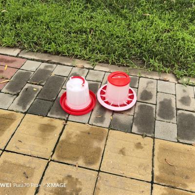 China Automatic Labor Saving Plastic Chicken Feeder Waterer 1L Capacity Pigeon Supplies for sale