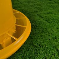 China Automatic Rat Proof Chicken Feed Bucket Standard Weight for sale