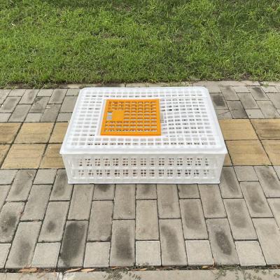 China Spacious Poultry Transport Cages Enhanced Safety And Cleaning for sale