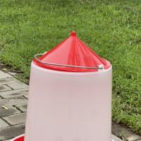 China Freestanding Cylindrical Plastic Poultry Feeder With Accessories for sale