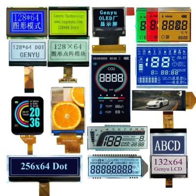 China Oem Odm Monochrome 128x64 Graphic Cog Custom HTN STN Fstn Segment black Va Segment OLED IPS Color TFT Touch LCD Display Lcd for sale