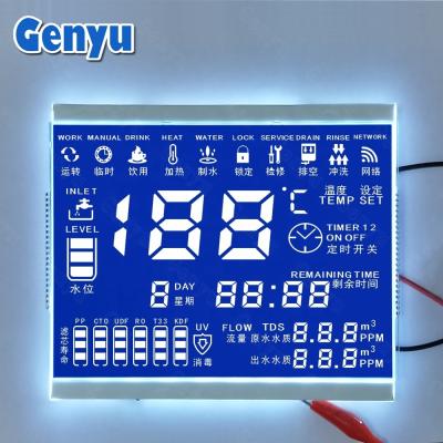 China Oem Odm Monochrome 128x64 Graphic Cog Custom HTN STN Fstn Segment black Va Segment OLED IPS Color TFT Touch LCD Display Lcd for sale