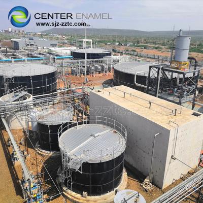 Cina Processo anaerobico a doppio rivestimento e attrezzature per rifiuti alimentari Progetto BSCI in vendita