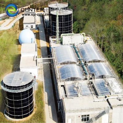 Cina Progetto di apparecchiature anaerobiche in acciaio fuso in vetro per rifiuti alimentari in vendita