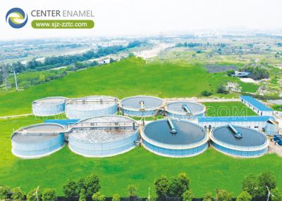 China Center Enamel Provides Biogas Turnkey Project For Global Customers for sale