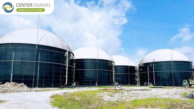 Cina Center Enamel: soluzioni complessive di biogas che utilizzano tecnologie avanzate di digestione anaerobica in vendita