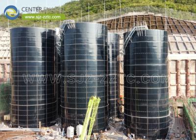 Cina Center Enamel fornisce serbatoi digestori anaerobici per il progetto di biogas in Tanzania in vendita