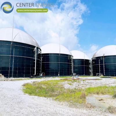 China Double Membrane Biogas Holder for a Pig Farm Plant: A Strong Solution for Collecting Gas Generated by Concentrated Pig Manure Treatment for sale