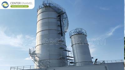 China Stainless Steel Cow Dung Biogas Digester: Transforming Dairy Waste into Renewable Energy with Center Enamel for sale