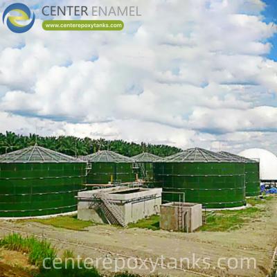 China Biogas Holder for Biogas from Animal Waste Project: Stores the Gas to Ensure a Stable Supply for Conversion, Optimizing Output Efficiency for sale