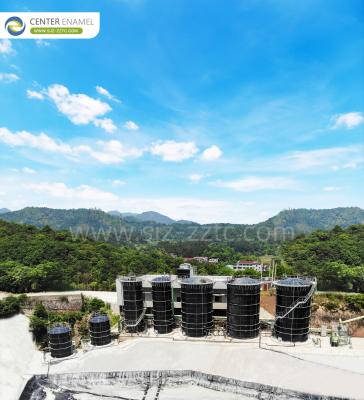 China Advanced Biogas Solutions and CSTR Bioreactors for Cambodia Biogas Projects for sale