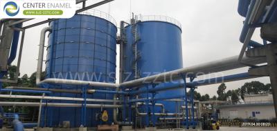 China Advanced Biogas Solutions and CSTR Bioreactors for Indonesia Biogas Projects for sale