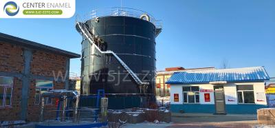 China Advanced Biogas Solutions and CSTR Bioreactors for Laos Biogas Projects for sale