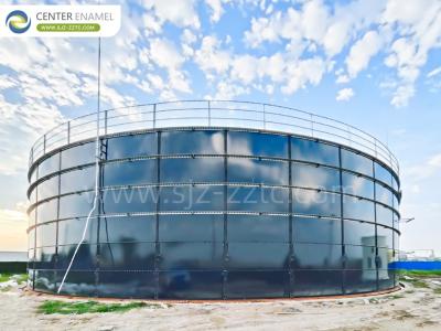 China Advanced Biogas Solutions and CSTR Bioreactors for Philippines Biogas Projects for sale