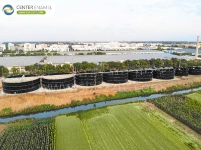 China Sustainable Biogas Technology for Malaysia Pig Farm Wastewater Treatment Projects for sale