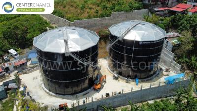 China Sustainable Biogas Technology for Singapore Pig Farm Wastewater Treatment Projects for sale