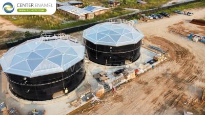 China Leading Livestock Wastewater Treatment Project EPC Contractor for Nepal for sale