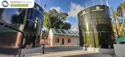 China Leading Livestock Wastewater Treatment Project EPC Contractor for Philippines for sale