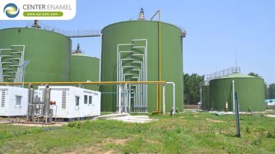 China The Engine of Renewable Power: GFS Biomass Energy Tanks for sale