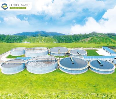 China Transforming Poultry Waste: Advanced Biogas Solutions and Resilient GFS Tanks in Brunei for sale