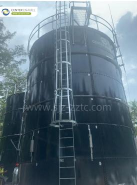China Advanced Anaerobic Technologies for Vietnam Pennisetum Purpureum Biogas Projects for sale
