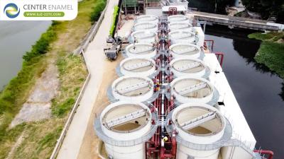 China High-Efficiency Anaerobic Processing for Japan Silage Straw Biogas Projects for sale