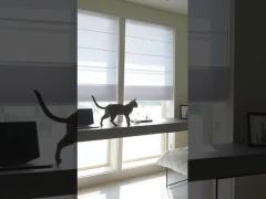 100% de Rol van de polyesterelektriciteitspanne verblindt Roman Fabric For Window Treatment