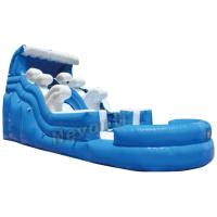 China Allowable Passenger 10 Inflatable Water Slide with Pool Digital Printing for sale