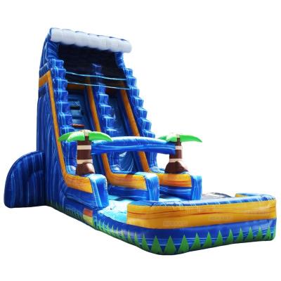 China Residential Occasion Inflatable Slide for Children's Water Play Customized Color for sale