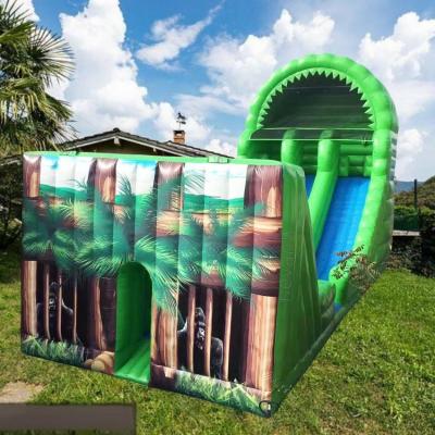 China Residential Occasion Inflatable Slide for Children's Water Play Customized Color for sale