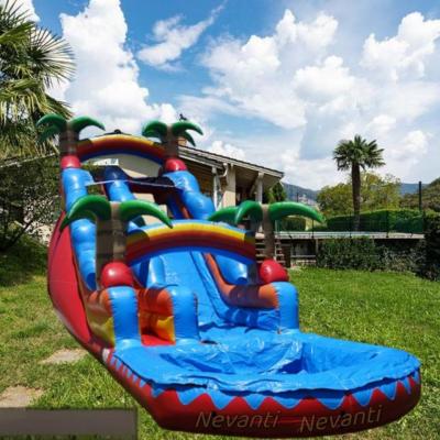 中国 ベストセラー オーダーメイドサイズと最大容量100-500kgの充気カクトススライド 販売のため