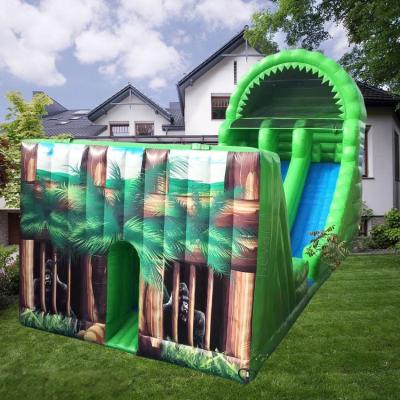 China Hot Style aufblasbare Wasserrutsche mit benutzerdefiniertem Logo und maximale Kapazität 100-500kg zu verkaufen