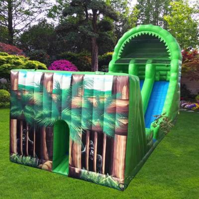 Cina Slide commerciale gonfiabile a colori personalizzato con capacità massima 100-500 kg in vendita