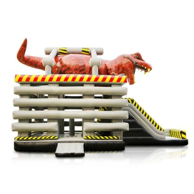 China 2024 Design Large Inflatable Water Slide for Commercial Parties and Celebrations for sale