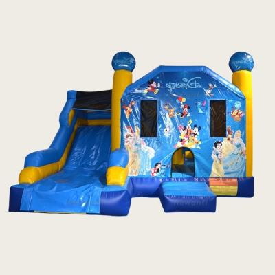 Cina Castello gonfiabile commerciale con dimensioni personalizzate e Bluey Bounce House Design in vendita