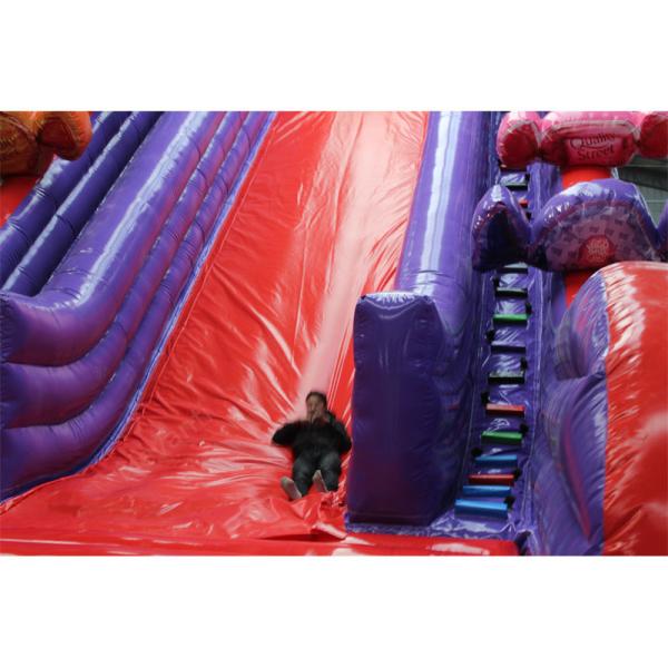 Quality PVC Accessory Packing Bag Included Design Giant Dry Inflatable Bouncer Slide For for sale