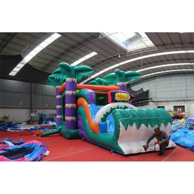 Cina Intervallo d'età da 5 a 7 anni Commerciale Pvc Salto Bouncer Slide asciutto Logo personalizzato stampato in vendita