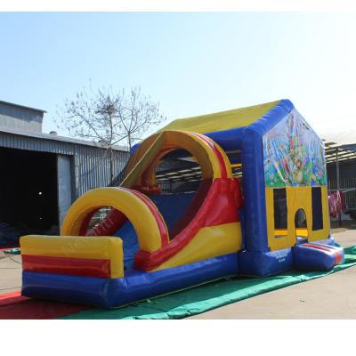 Cina Slide d'acqua gonfiabile a colori personalizzati per buttafuori commerciali unisex e castello gonfiabile in vendita