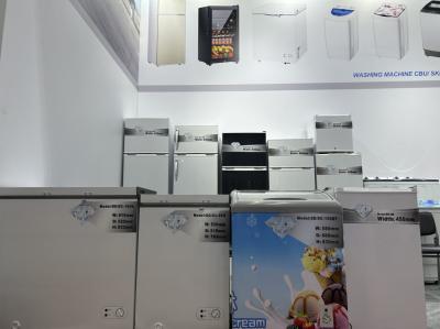 Cina Discongelamento Refrigeratore a porta singola di grande capacità per uso domestico commerciale in vendita