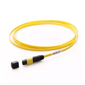 China Singlemode 12 Fiber Fiber Optic Patch Cord MPO/MTP Fiber Optic Pigtail for sale