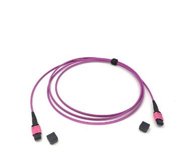 中国 MPO UPC 3mの女性の繊維光学の12の24の中心LSZHをパッチ・コード 販売のため