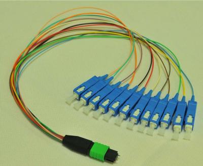 China Fuga amarela Mpo - padrão de Telcordia dos núcleos do cabo de remendo 8 da fibra ótica do Sc à venda