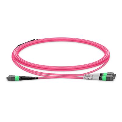 China MTP Breakout Cable OM4 50/125μm with 0.35dB Low IL and 8° APC Endface for High-Speed Data Center Links for sale